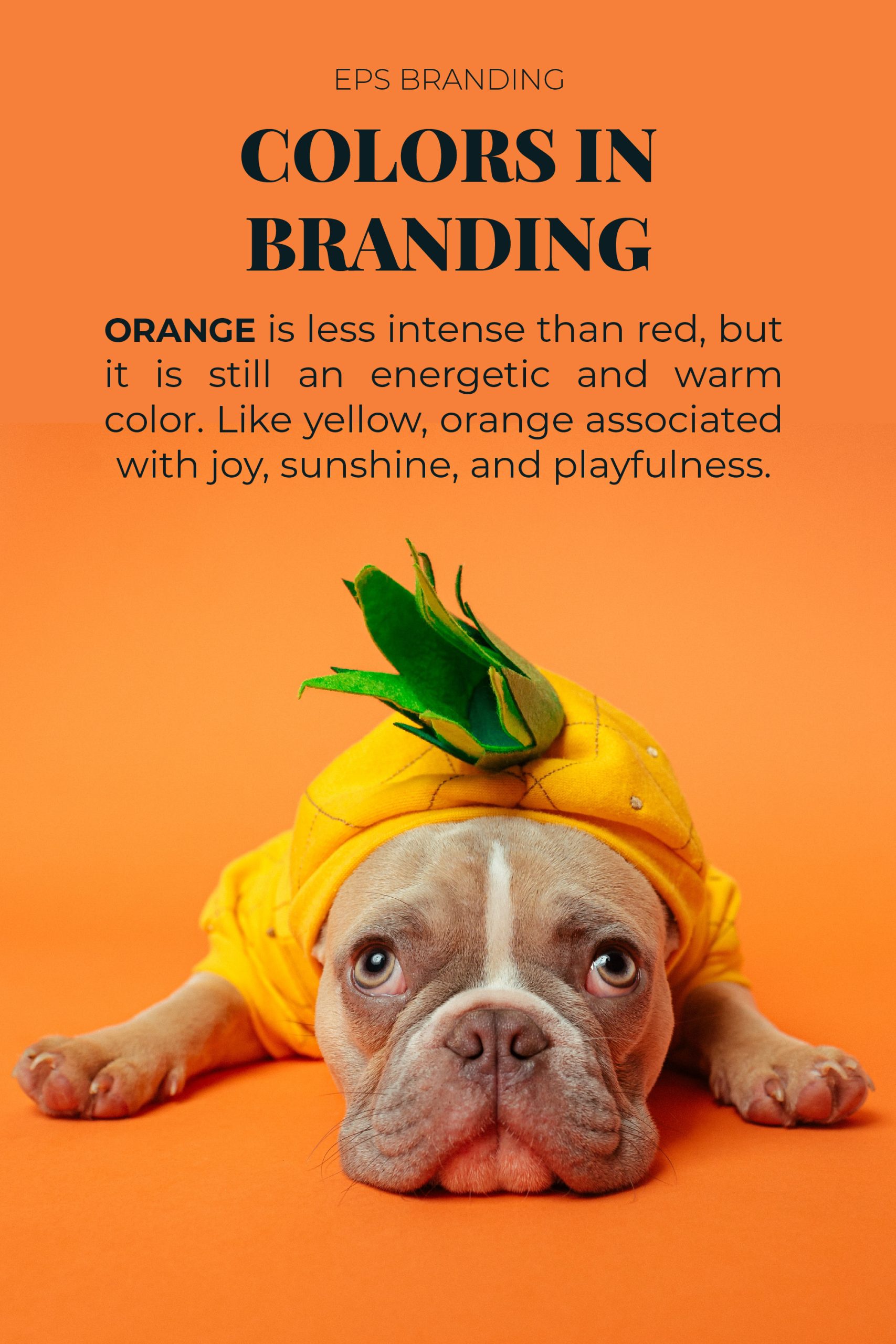 Colors In Branding And Marketing - Their Nature, Relevance, And Effect ...