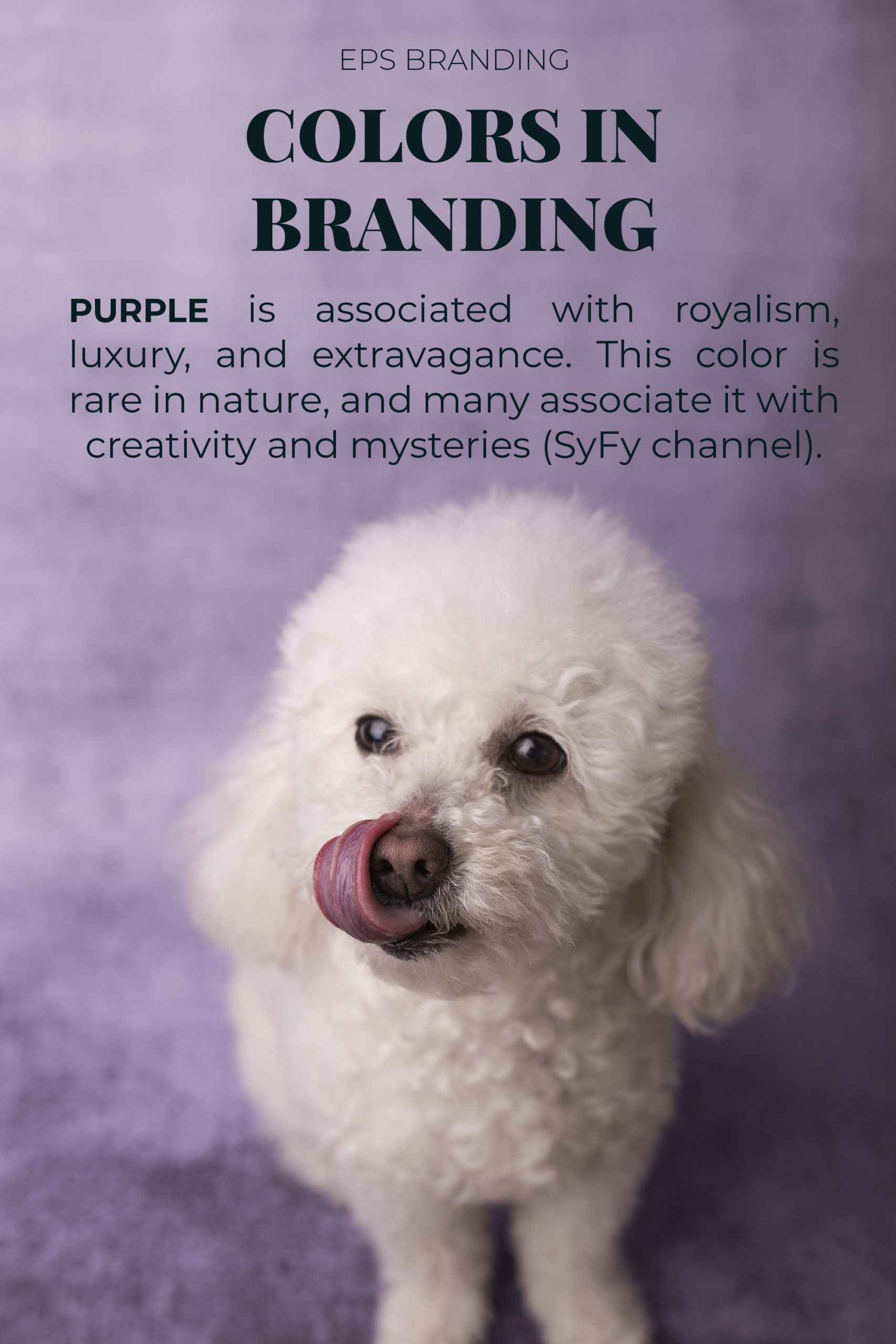 Colors In Branding And Marketing - Their Nature, Relevance, And Effect ...