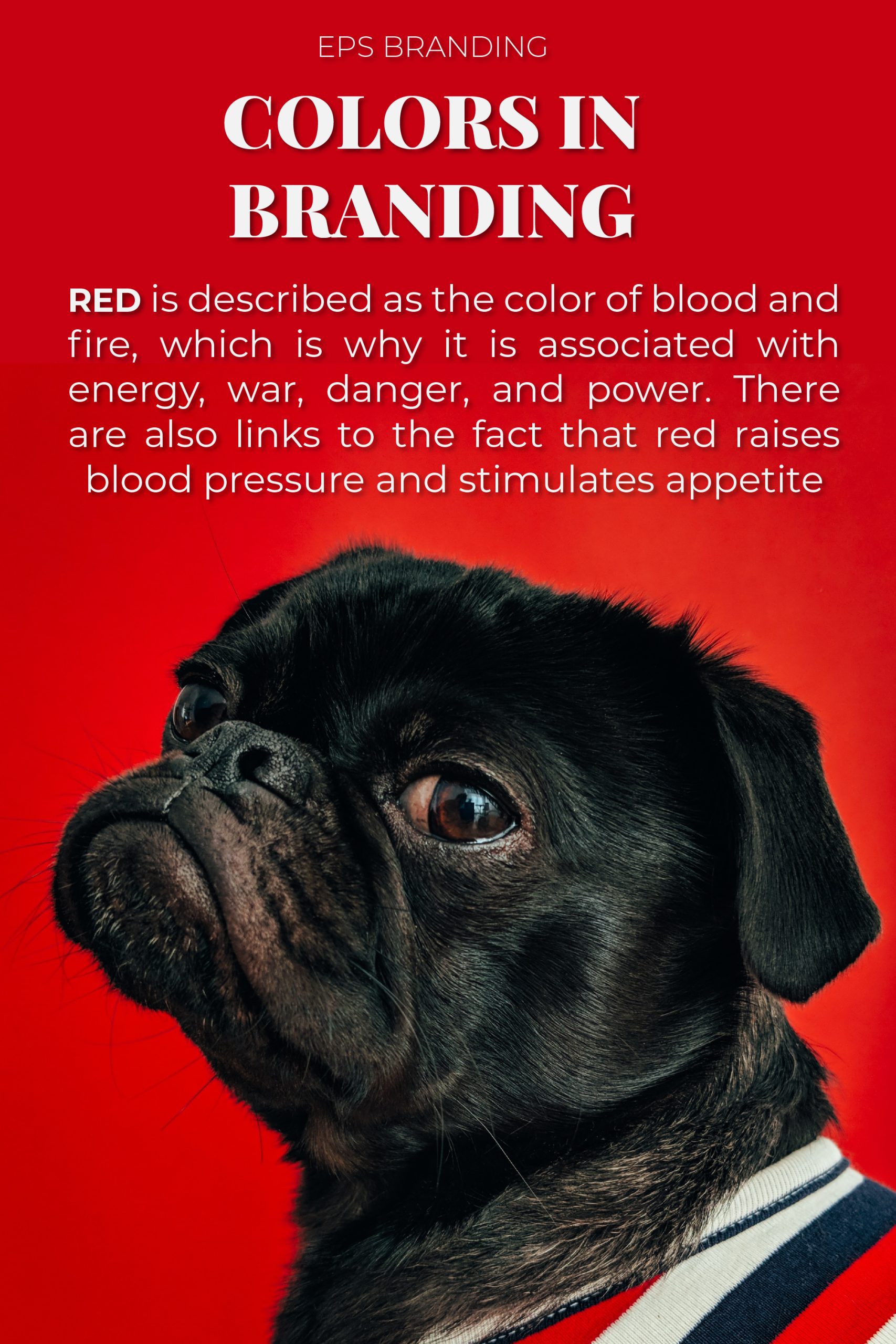 Colors In Branding And Marketing - Their Nature, Relevance, And Effect ...